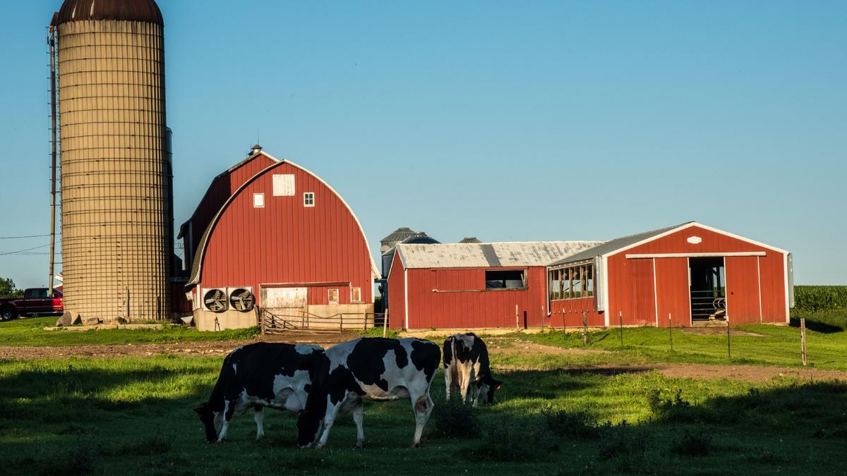 MIT Startup Labby Inc Equips Dairy Farms with Quality Control Testing ...