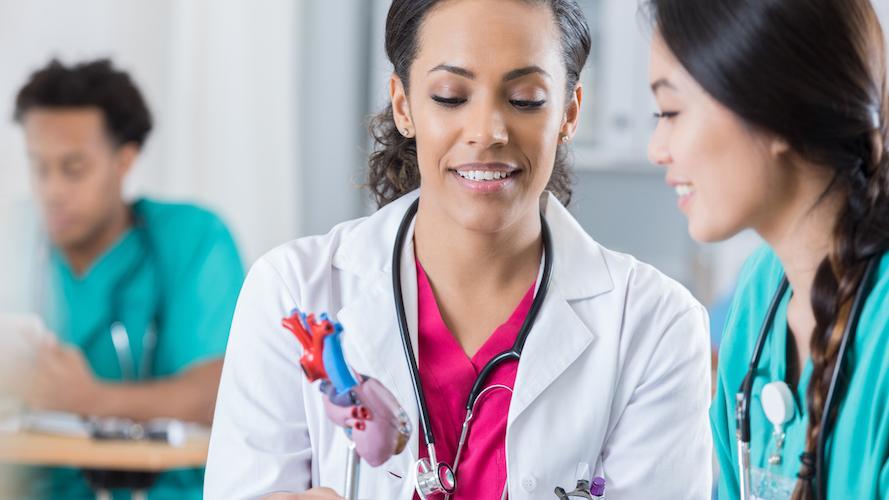 Minne Inno - Miromatrix's New Spinoff Continues Work Turning Pig Organs ...