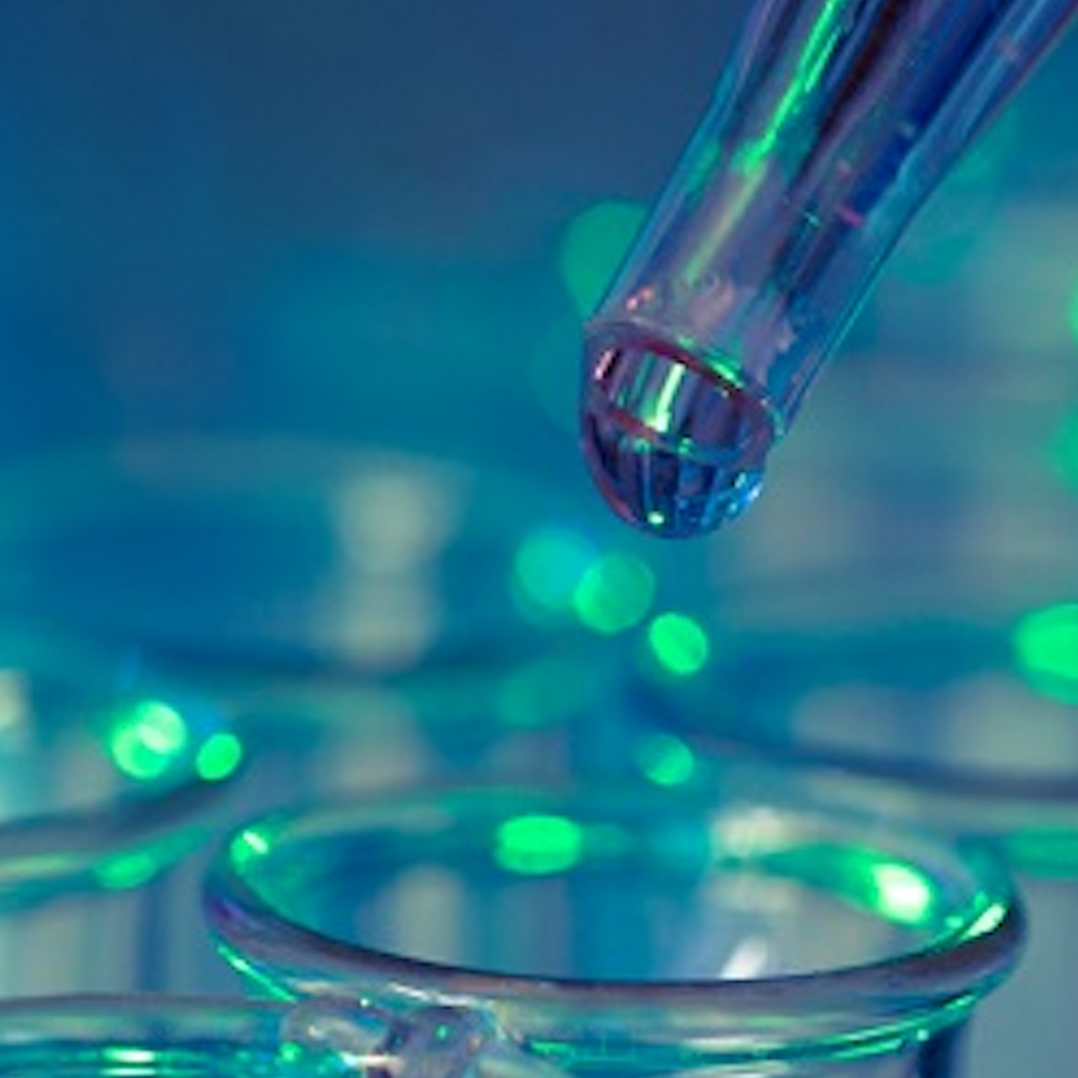 North Texas Inno - Dallas biotech startup Lantern Pharma files for IPO ...