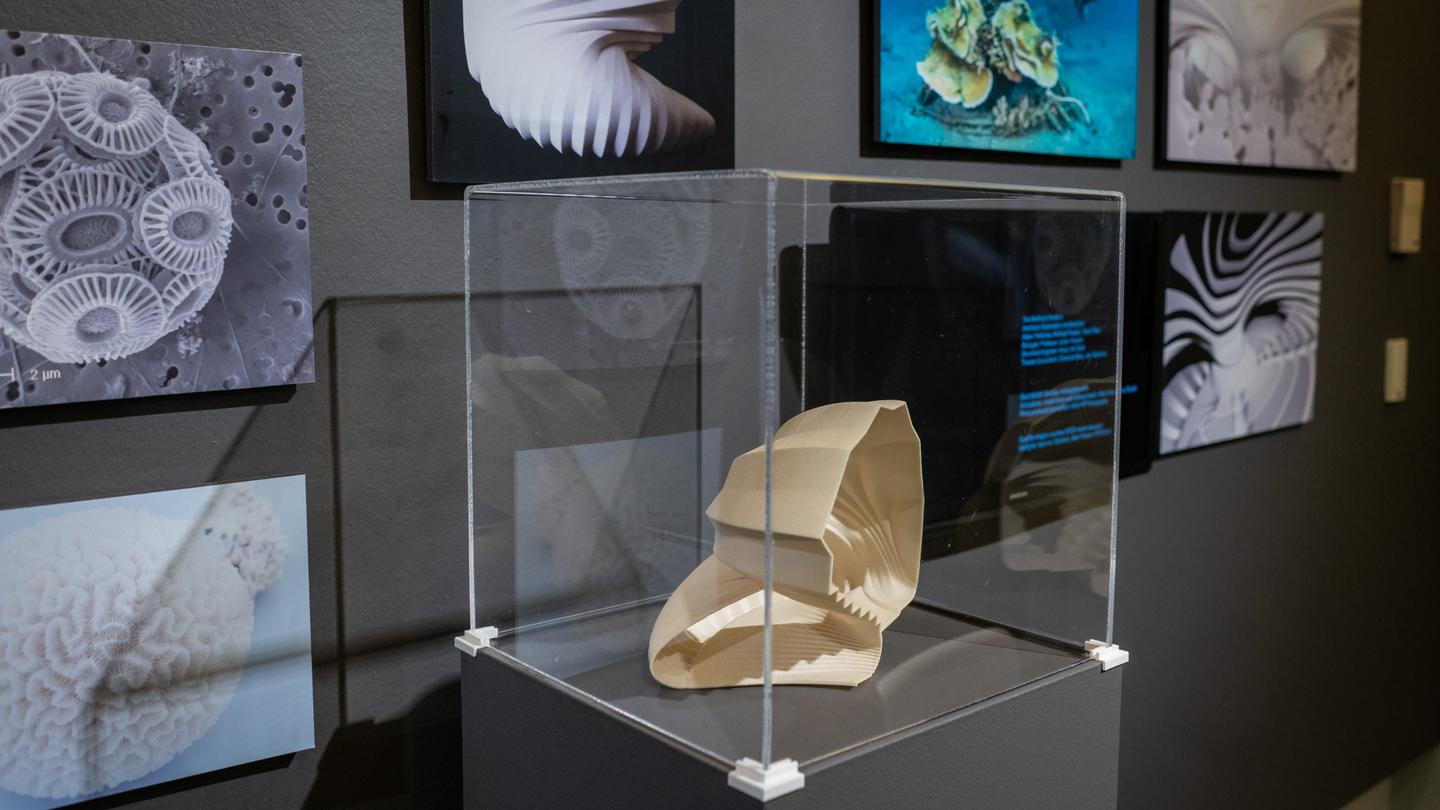 Atlanta Inno - GALLERY: Stuck at home? You can still visit this Atlanta ...