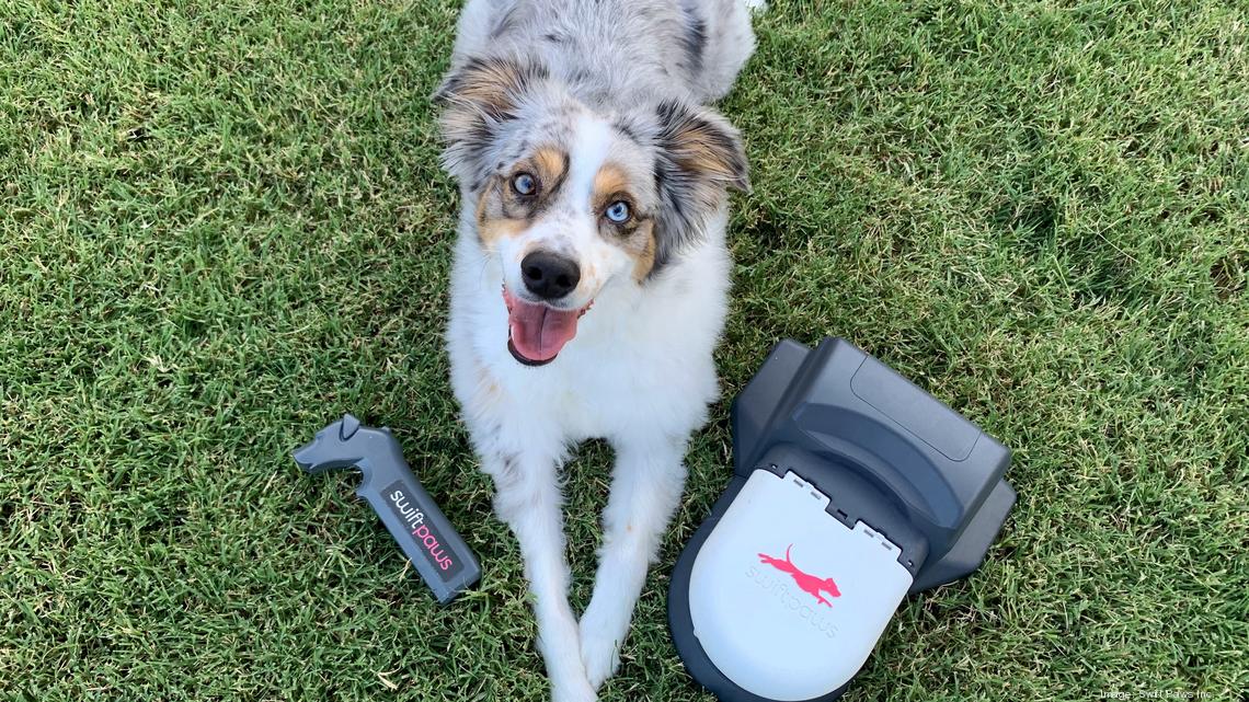 Orlando Inno - Space Coast startup SwiftPaws nearly sells out of pet ...