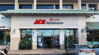 Ace Hardware expanding with more stores and warehouses - Chicago ...