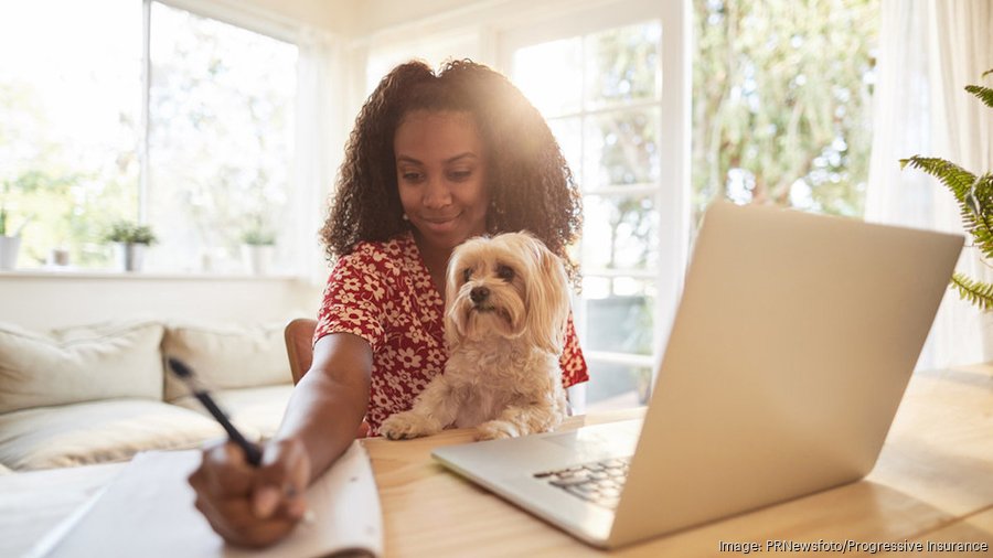 Progressive Corp. partnering with Pets Best to offer employee benefit ...