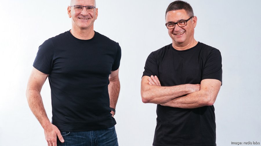Valley's newest unicorn Redis Labs says $100 million round will help ...
