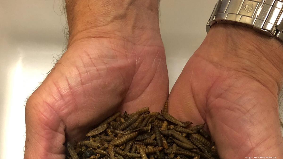 Company in Buffalo taking big step toward sustainable fish food ...