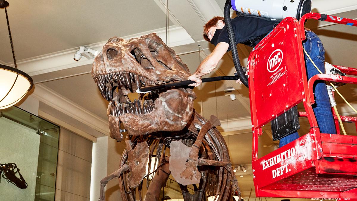 American Museum of Natural History reopens on Sept. 9. Here's what it ...