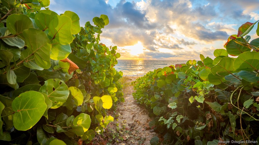 AFS Foundation owners Benjamin Bayless, Rachel Bayless buy Hillsboro ...