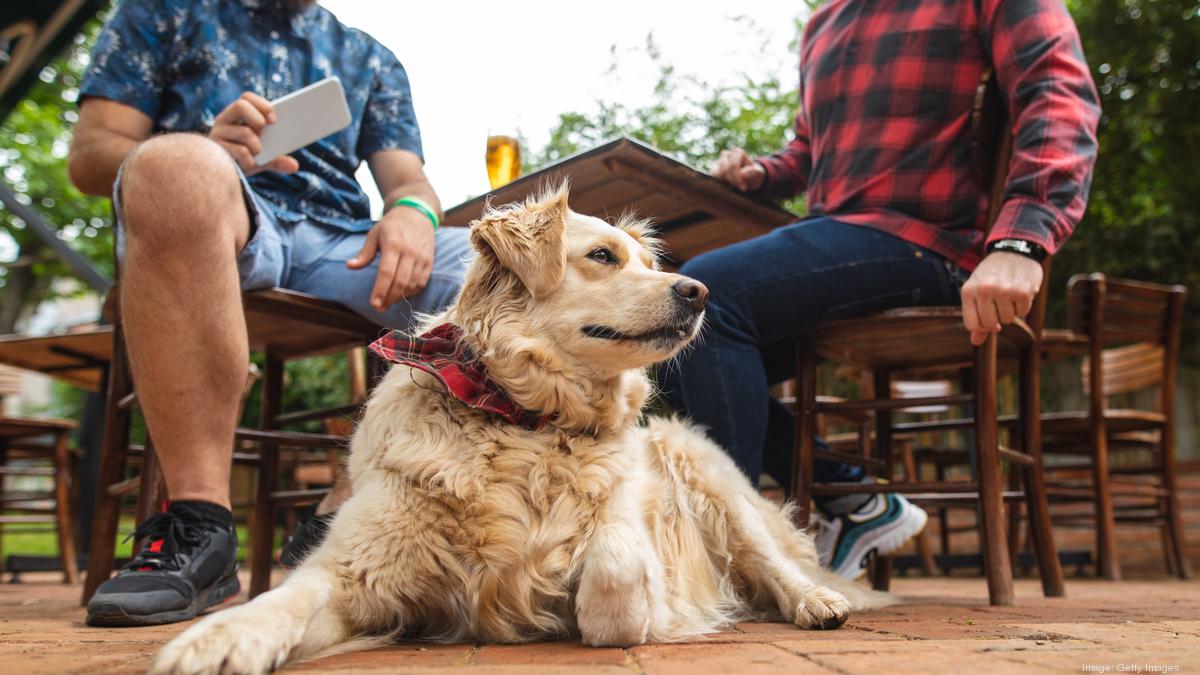 Pup's Pub dog bar to open in South Tampa - Tampa Bay Business Journal