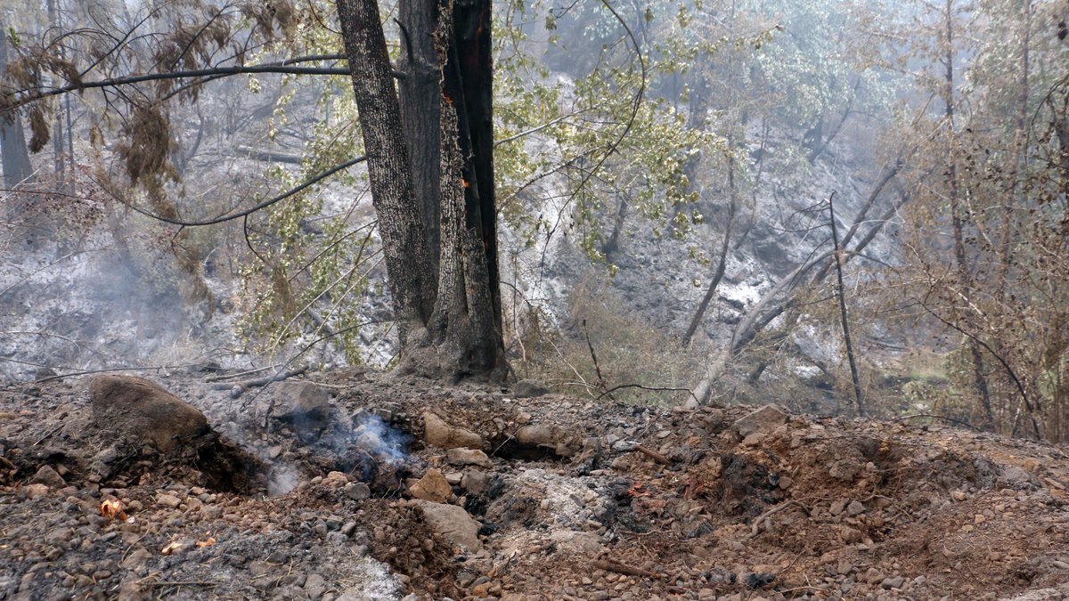 Report backs PacifiCorp on Oregon wildfire cause - Portland Business ...