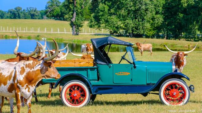 T Bar W Ranch east of Dallas on market - Houston Business Journal