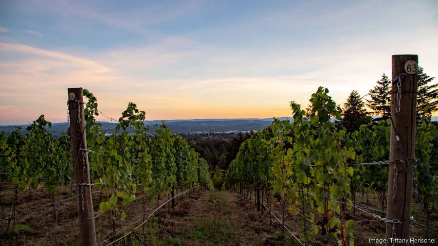 Amaterra, winery and vineyard on edge of Portland, eyes spring opening ...