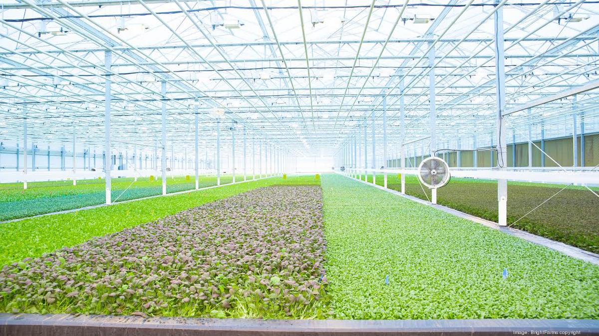 Indoor farming company BrightFarms raises $100 million in Series E ...
