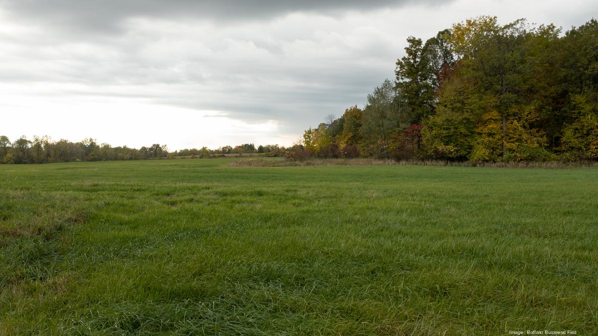 Genesee County STAMP site still in the running - Buffalo Business First