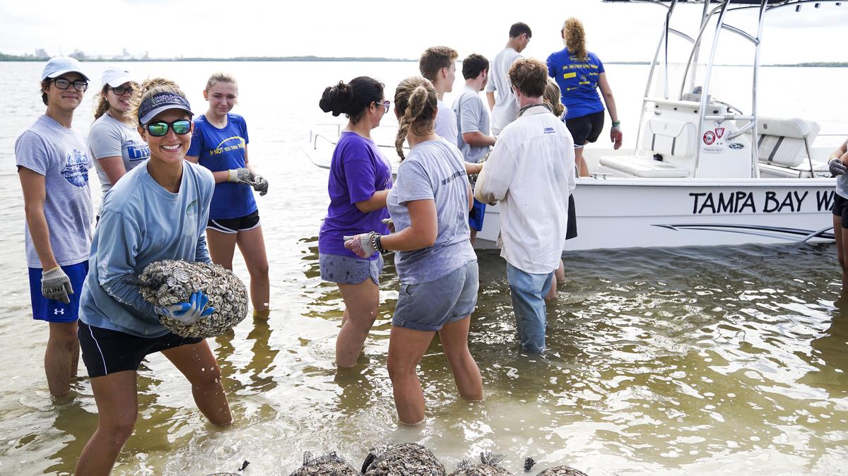Tampa Bay Watch, Inc., One Tampa Bay nonprofit - Tampa Bay Business Journal