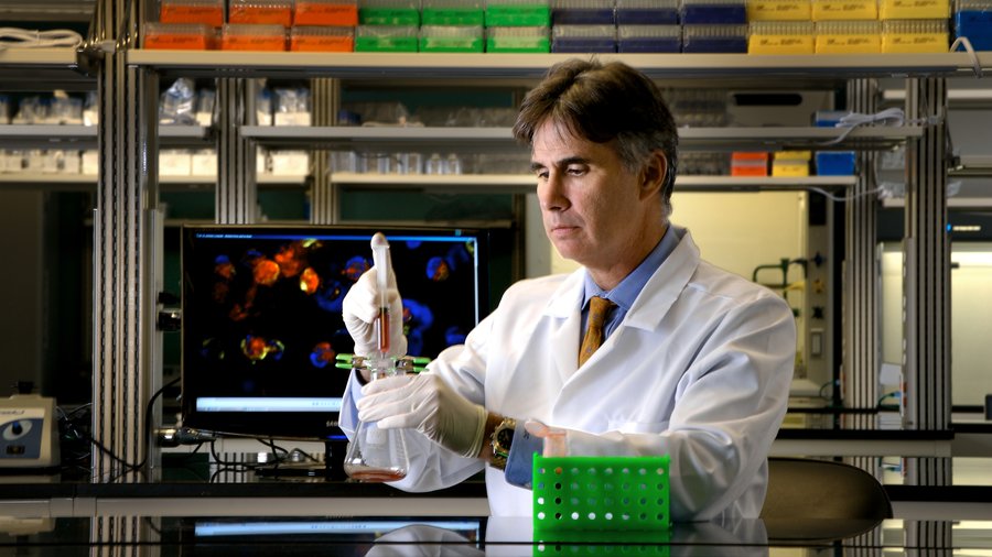 South Florida medical research makes strides in health care discovery ...