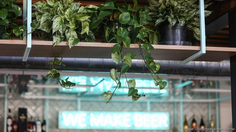 Protagonist set to debut brewery in lower South End - Charlotte ...