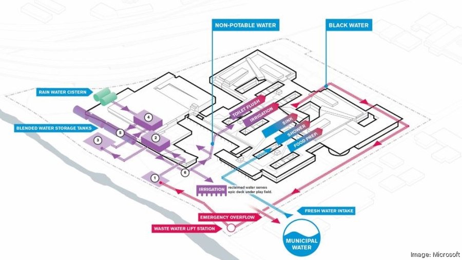 How Microsoft's new Silicon Valley campus is its greenest one yet ...