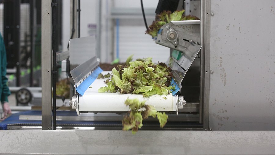 80 Acres, Siemens expand partnership following firm's original ...