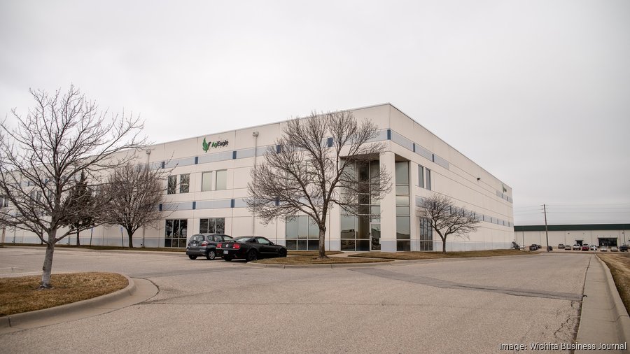 AgEagle Aerial Systems Inc. sales nearly doubled last year, but so did ...