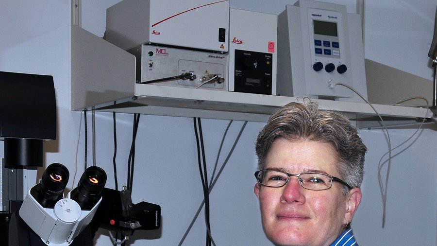 RPI professor Lee Ligon wins $1.5M grant for cell research