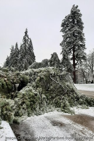 Portland utility customers lose power in ice storm - Portland Business ...