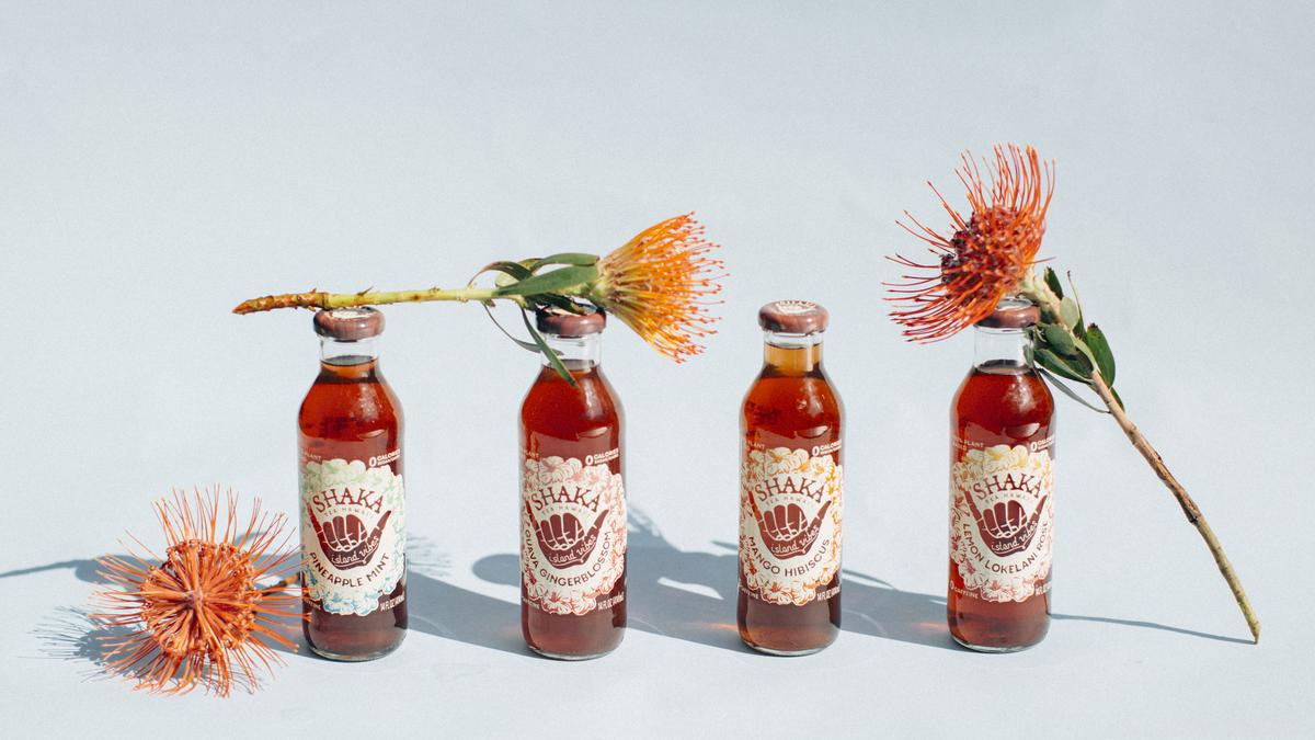Hawaii-based Shaka Tea to begin national retail rollout with 7-Eleven ...