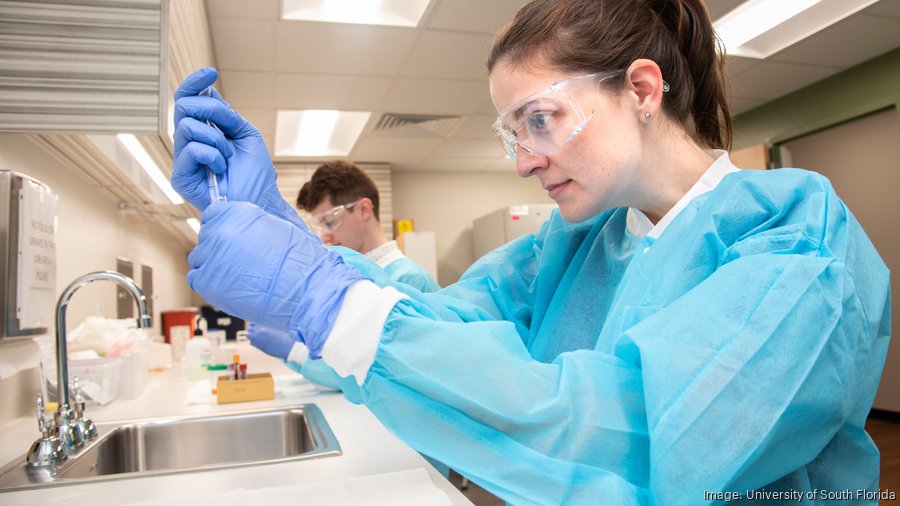 USF undergrad research gets boost with partnership from Florida High ...