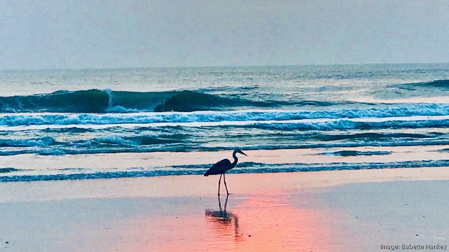 2021 Women Who Mean Business: Florida mental health organization Aspire ...