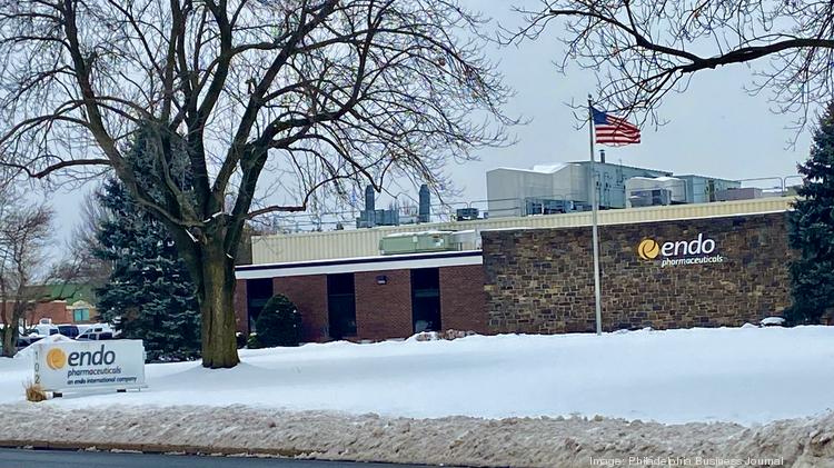 Endo estimates huge market for soon-to-launch cellulite treatment ...