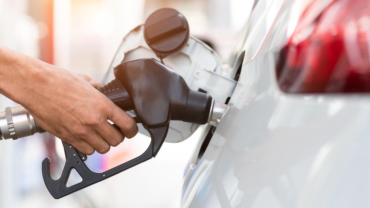 FutureFuel idles biodiesel output amid 'regulatory uncertainty,' shifts ...