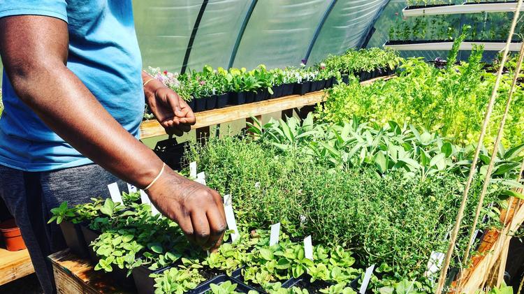 Oesterlen plans facility renovations, new programming at 100-acre ...