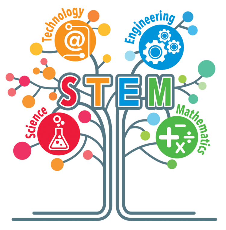 SIM pushes STEM programs through the pandemic - Charlotte Business Journal