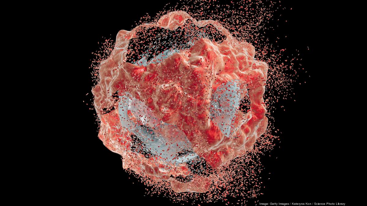 Immunocell Therapeutics to buy Kiromic BioPharma assets - Houston ...