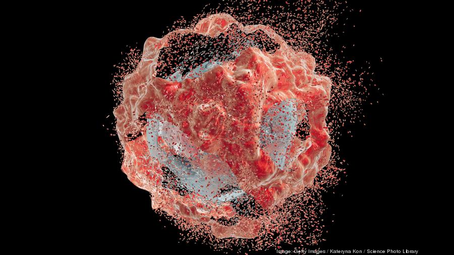 Immunocell Therapeutics to buy Kiromic BioPharma assets - Houston ...