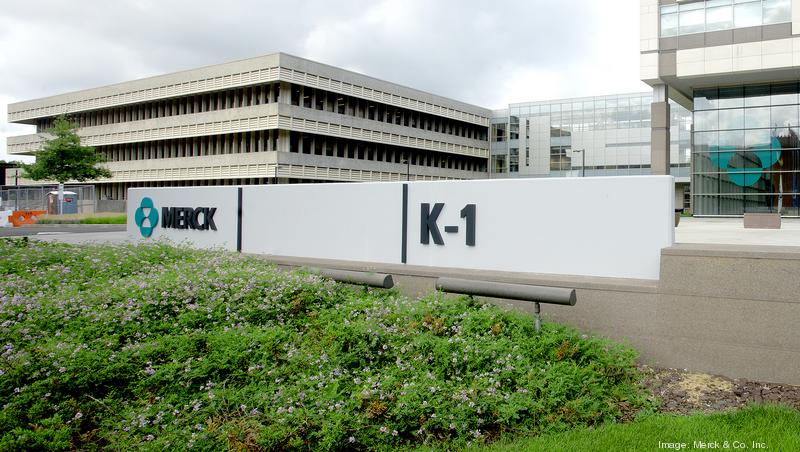 Merck promotes Caroline Litchfield to CFO - Bizwomen