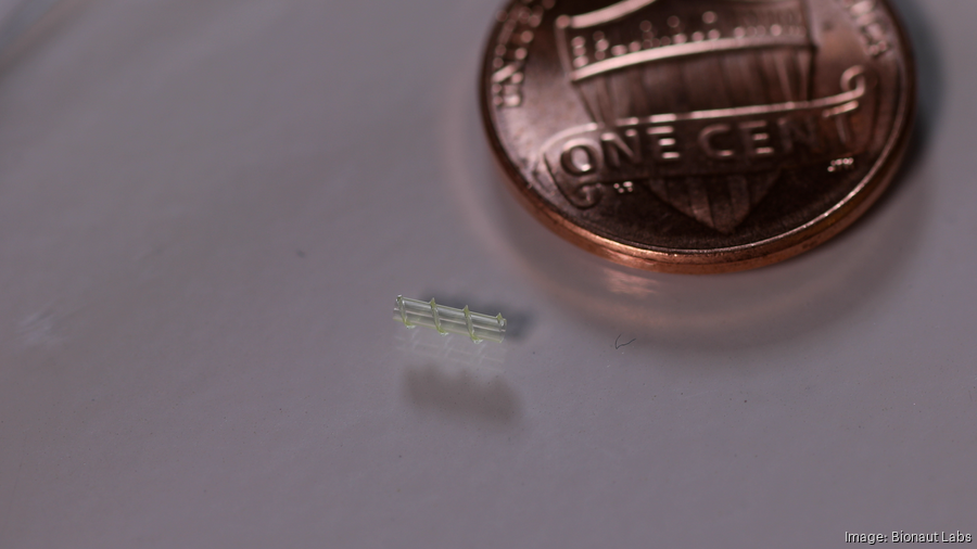 Bionaut Labs remote-controlled micro-robots target disease - L.A ...