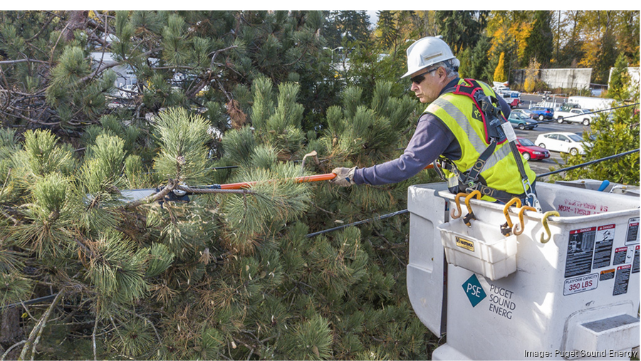 Washington state utilities commission OKs $40M for customer bill relief ...