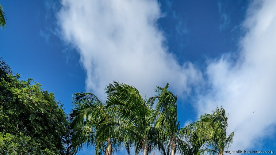 iAero Airways CEO Jeff Conry sells Coral Gables home - South Florida ...