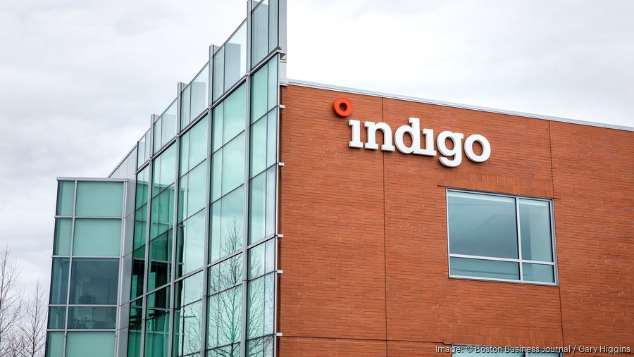 Indigo Ag makes 'massive' layoff of tech workers software team ...