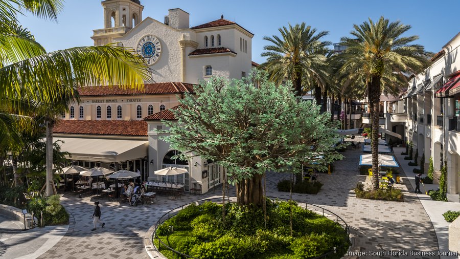 Related Companies buys out AMC Theater lease at Rosemary Square in West ...