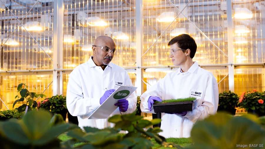 BASF closing Morrisville facility, laying off 107 workers - Triangle ...