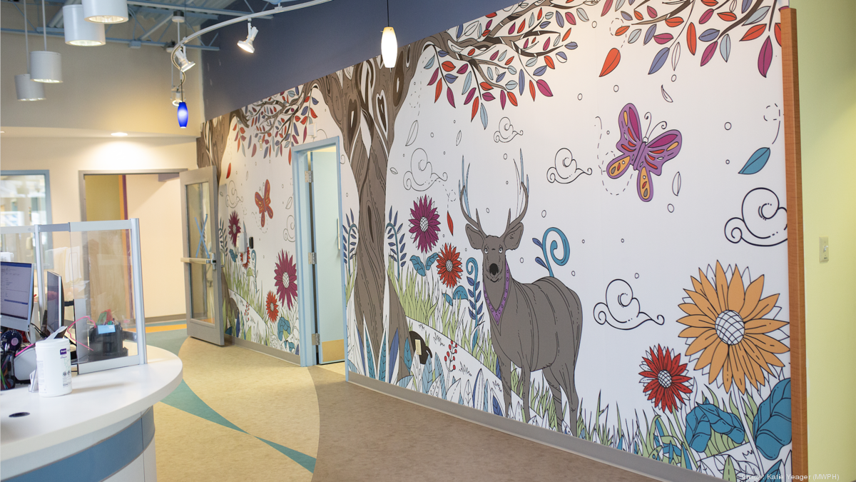 Mt. Washington Pediatric Hospital unveils $15M fundraising campaign ...