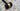 TD Bank denies liability in Carillon fraud lawsuit - Triangle Business ...