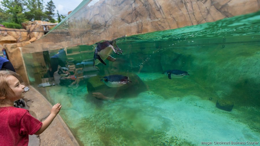 Here's everything coming in Cincinnati Zoo's $150M expansion ...