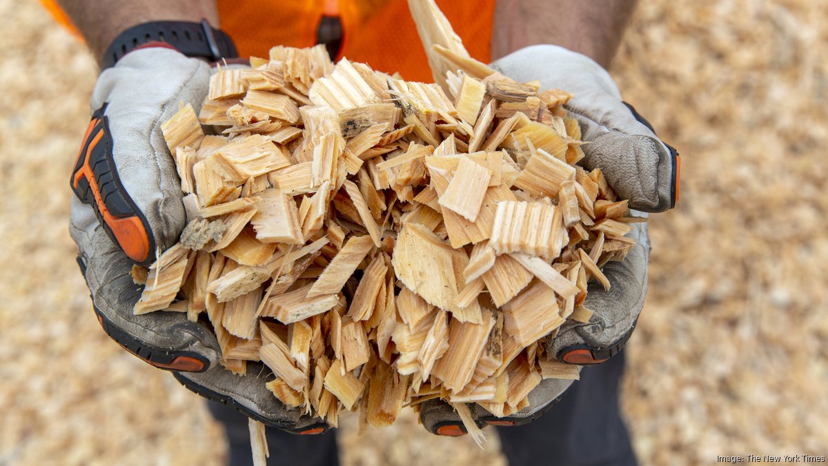 Minneapolis's planned biochar facility to be one of first city-owned ...