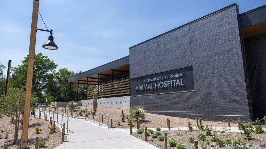 The latest craze at the Denver Zoo is watching vets operate on animals ...