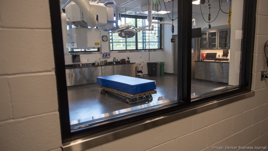 The latest craze at the Denver Zoo is watching vets operate on animals ...