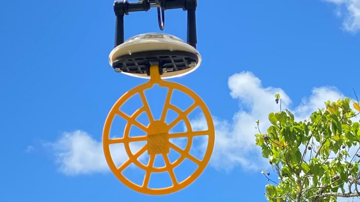 Kauai Island Utility Cooperative resumes installing seabird diverters ...