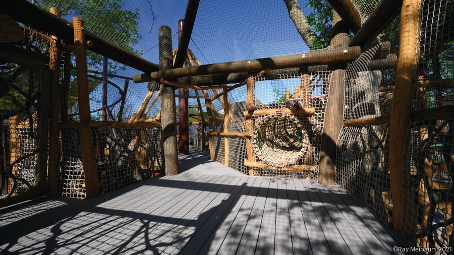 Saint Louis Zoo to require Covid-19 vaccines for full-time employees by ...