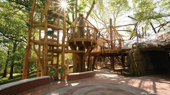 Take a peek inside the Saint Louis Zoo's new $13M primate canopy trail ...